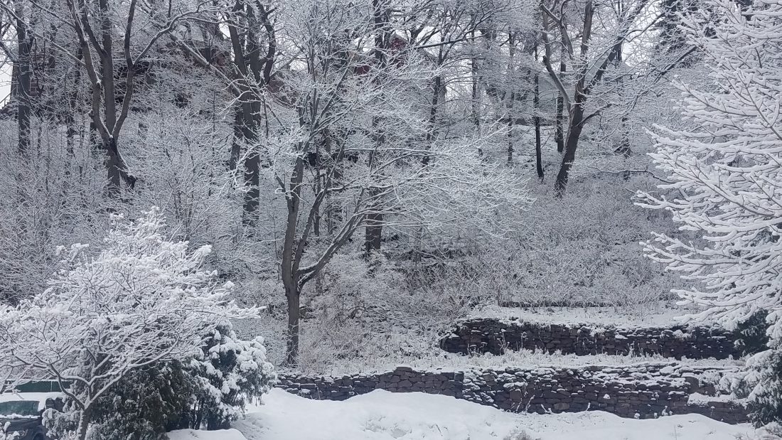 A snowy spring sight | News, Sports, Jobs - The Mining Journal